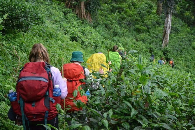 3 Day Motorcycle Tour (Mae Hong Son Loop) from Chiang Mai, Thailand - Who Is This Tour Best For?