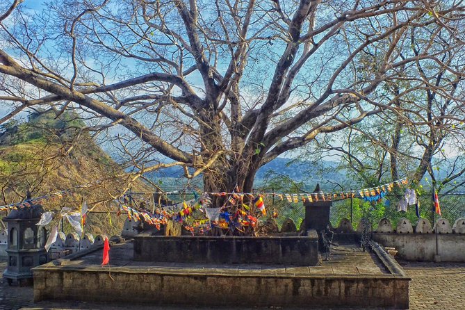 3 Day SriLanka Cultural Tour:Dambulla/ Sigiriya/ Polonnaruwa / Minneriya/ Kandy - FAQ