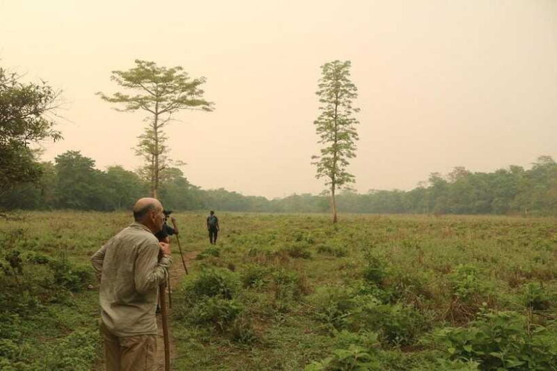 3 Days Chitwan Safari - Practical Tips for Your Trip