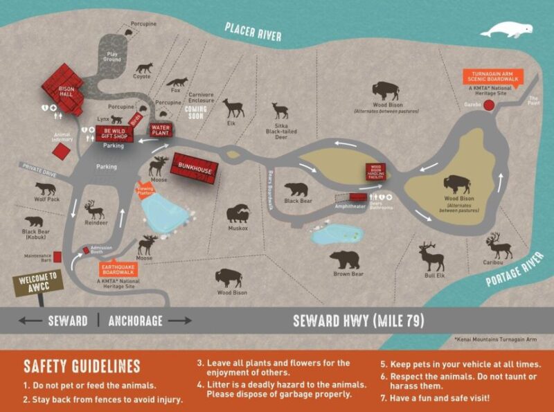 Alaska Wildlife Conservation Center: Admission Ticket - Experience and Visitor Tips