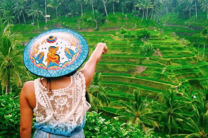Bali Customizable Multi Language Tour with Driver-Guide - Who Should Book This Tour?