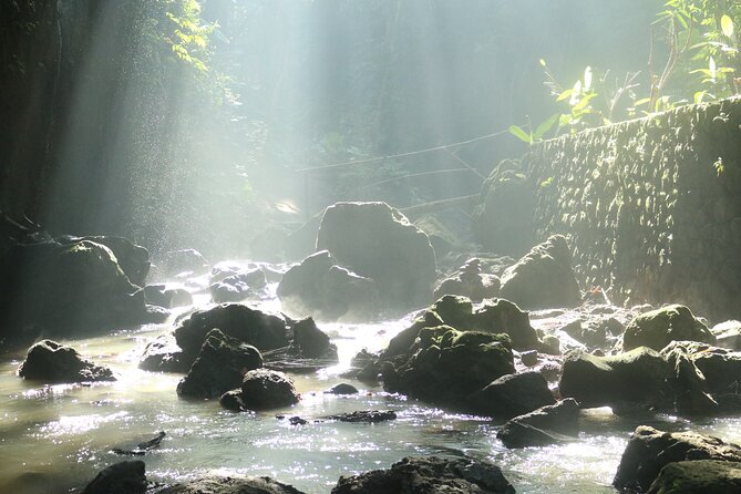 Bali Private Full Day Tour to Visit the Best Waterfalls and Swing near Ubud - The Sum Up