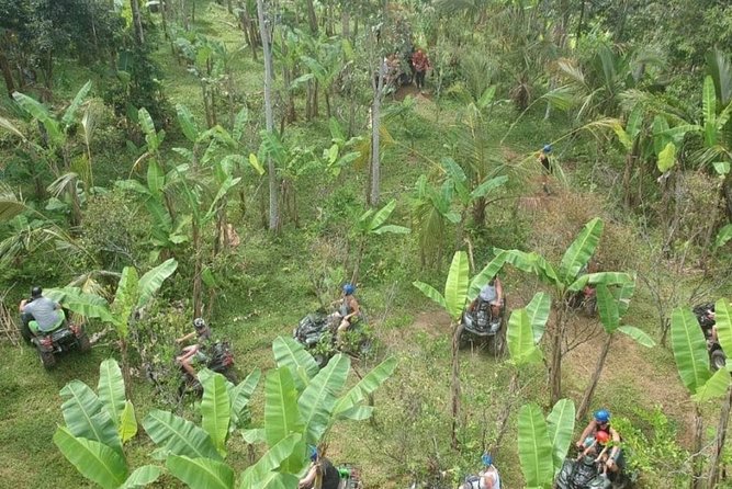 Bali Quad bike ATV passing through Waterfall, Cave & Rice fields - Who Should Consider This Tour?