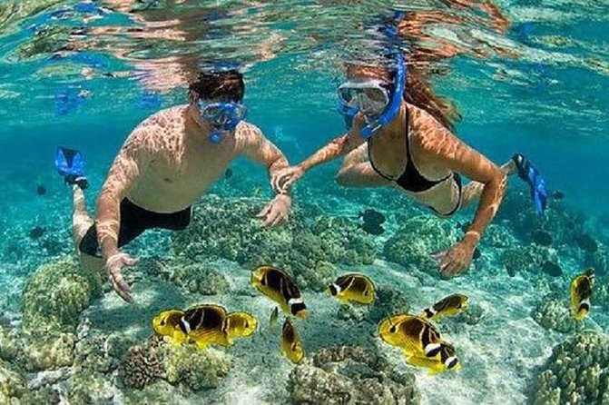 Bali Tour Customized with Private Tour Driver - Practical Tips for Booking