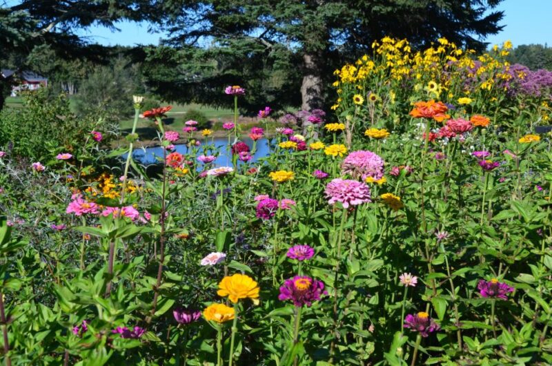 Bar Harbor: Acadia National Park Private Tour with Lunch - FAQ