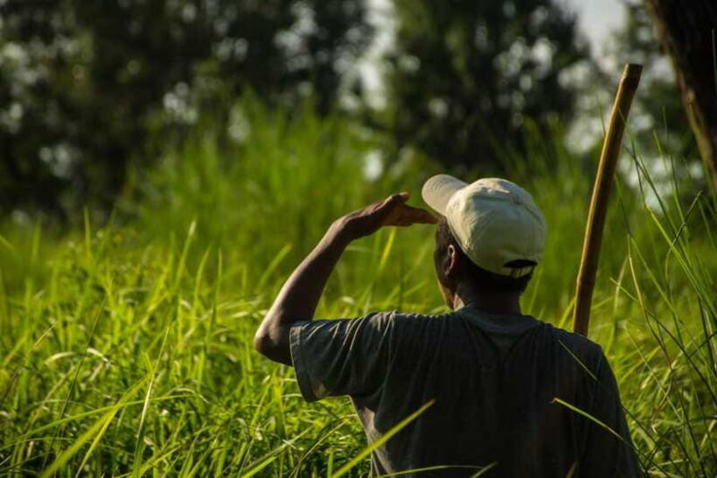 Bardiya National Park: Treehouse Stay with Wildlife Safari - Assessing the Value
