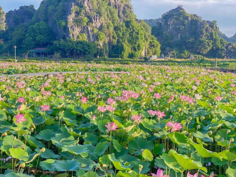 Best Ninh Binh Trip: Bai Dinh, Mua Caves, Trang An Boat Tour - FAQ