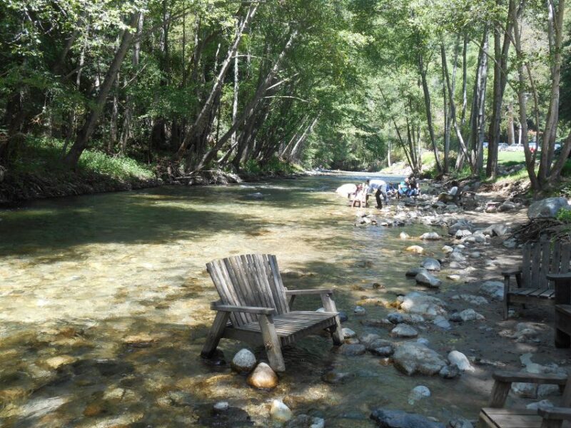 Big Sur: Sightseeing Tour with 4 to 5 Stops - The Sum Up: Is This Tour Worth It?
