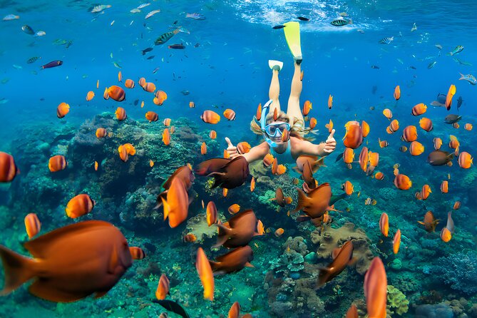 Blue Lagoon Snorkeling - Bali Best Snorkeling Site - Final Thoughts