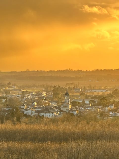 Bordeaux Backcountry E-Bike Tour with Lunch & Wine Tasting - Who Should Consider This Tour