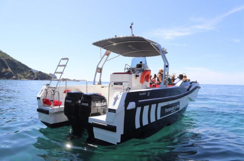 Calvi: Scandola and Piana Guided Boat Tour - FAQ