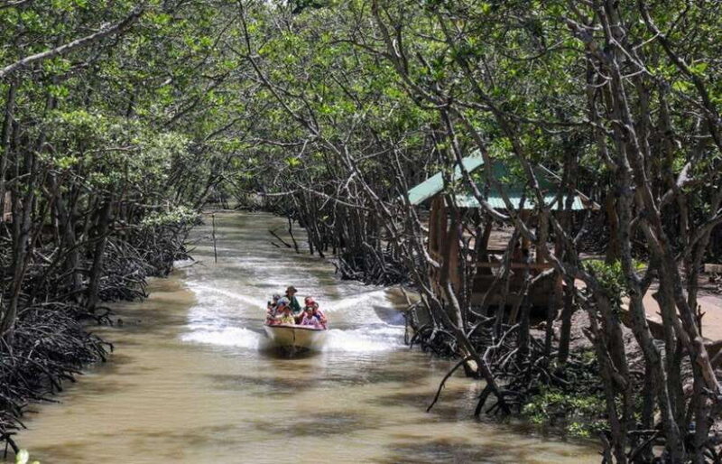 CAN GIO BISOPHERE RESERVE - The Sum Up: Who Will Love This Tour?