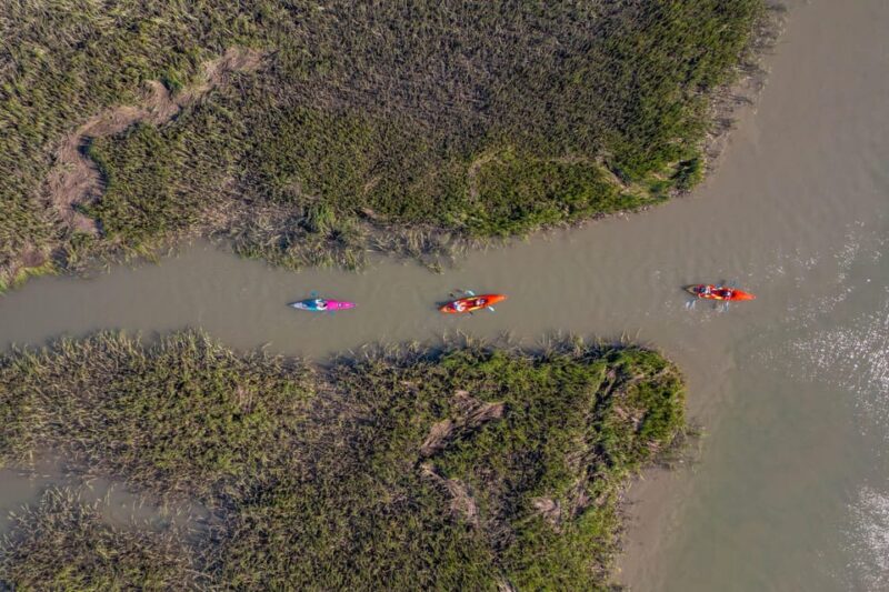 Charleston: Folly Beach Afternoon Kayak Dolphin Safari - FAQ