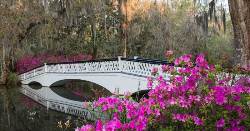 Charleston: Magnolia Plantation Entry & Tour with Transport - Additional Features and Facilities