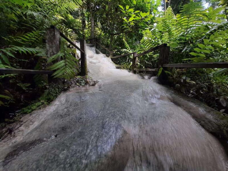 Chiang Mai: 4-Hour Sticky Waterfall Private Tour - Frequently Asked Questions