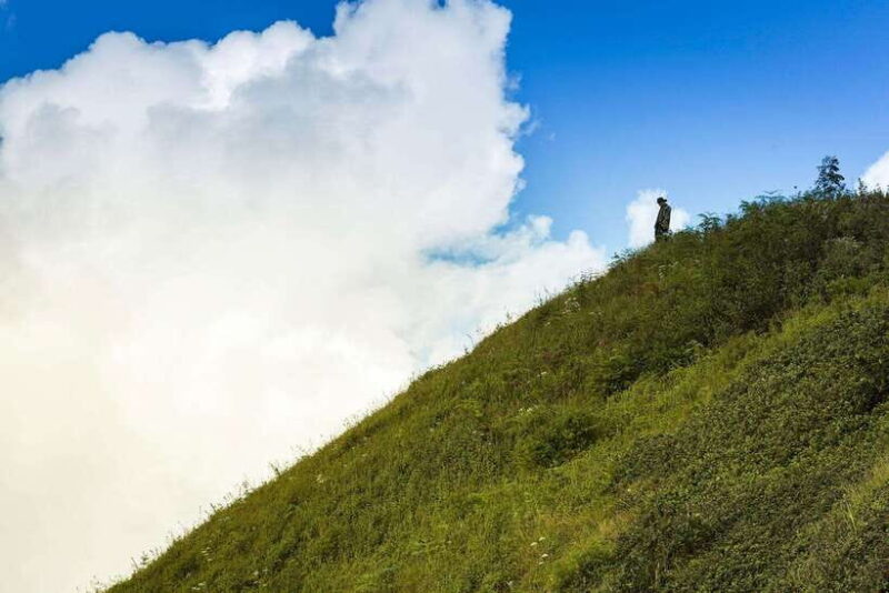 Chiang Mai: Doi Inthanon Trip with Pha Dok Siew Guided Trek - Final Words