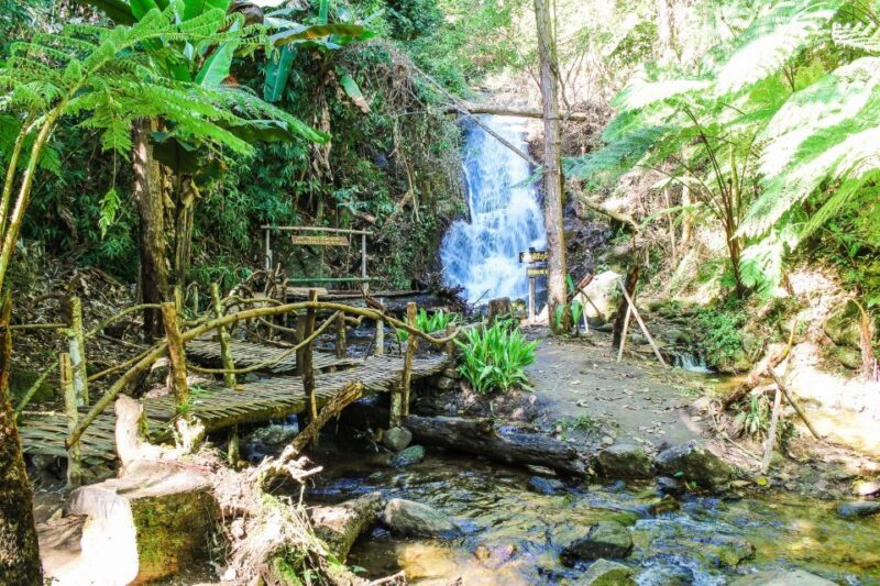 Chiang Mai: Kew Mae Pan Nature Trail & Doi Inthanon Day Trip - Authenticity and Overall Experience