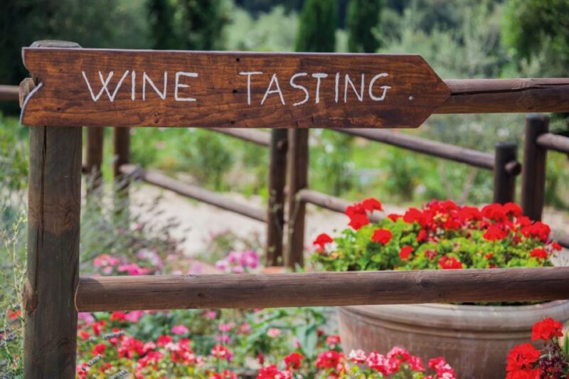 Chianti Countryside Full-Day Tour by Vintage Fiat 500 - A Few Cons to Consider