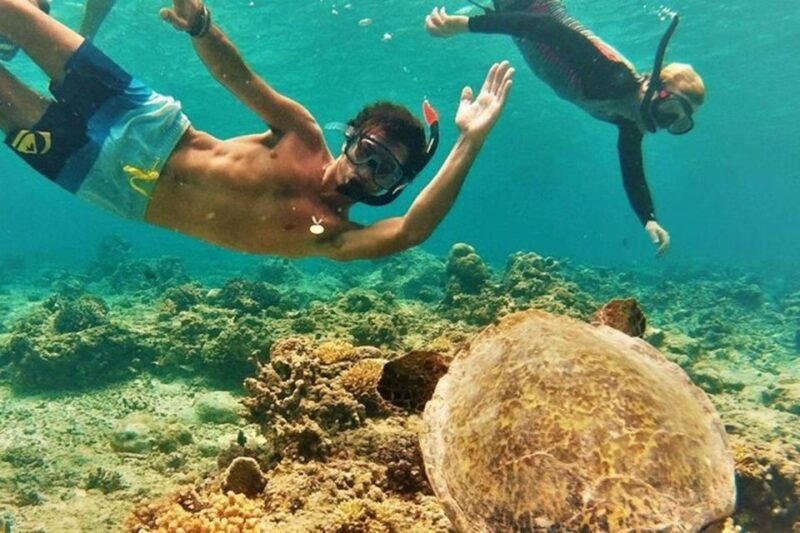 Circle Island: Swim with Turtles and Explore Paradise Oahu - Final Thoughts