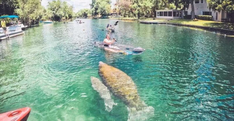 Clear Kayak Three Sisters Springs Ecotour of Crystal River - FAQ