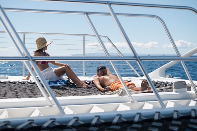 Coral Gardens Snorkel & Whale Watch - FAQs