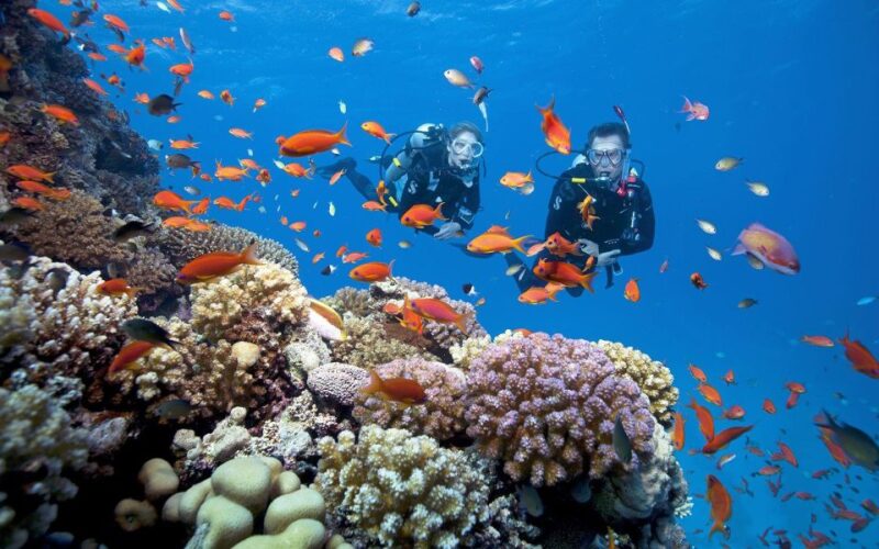 Da Nang: Cham Island Boat Day Trip with Snorkeling and Lunch - FAQs