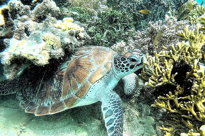 Day Trip Secret Island West Of Lombok - Frequently Asked Questions