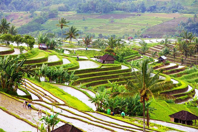 Discover Hidden Waterfall, Unesco Rice Terraces and Mountain Temple - FAQs