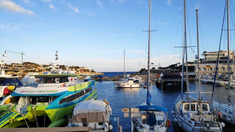 Drach Caves and Palma or Beach Retreat  Full-Day Tour - Final Thoughts