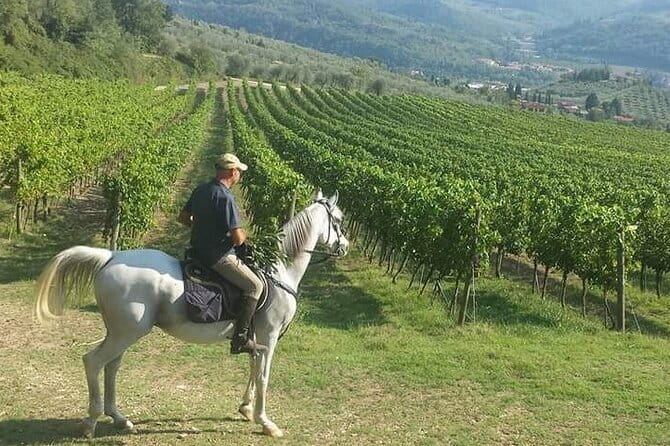 E-bike 2.5 hour Florence & Tuscany With Fresh Olive Oil and Bread - FAQ