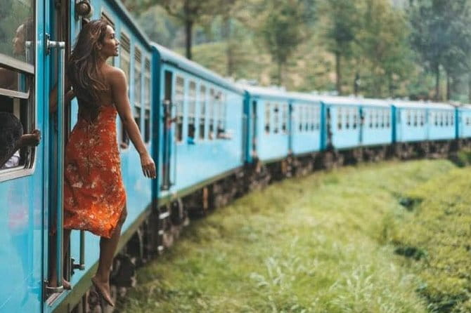 Ella to Yala Safari Tour & Drop-Off (Tangalle / Mirissa / Galle) - The Sum Up