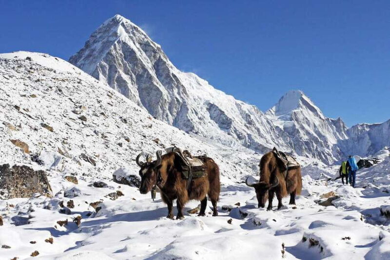 Everest Base Camp Short Trek- 12 Days - The bottom line