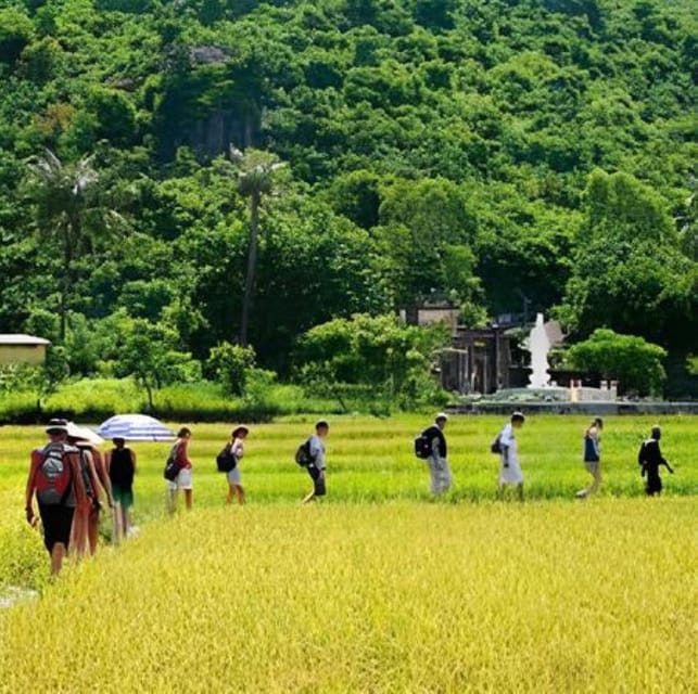 Explore Cham Island: Sightseeing and Snorkeling Adventure - Is It Worth the Price?