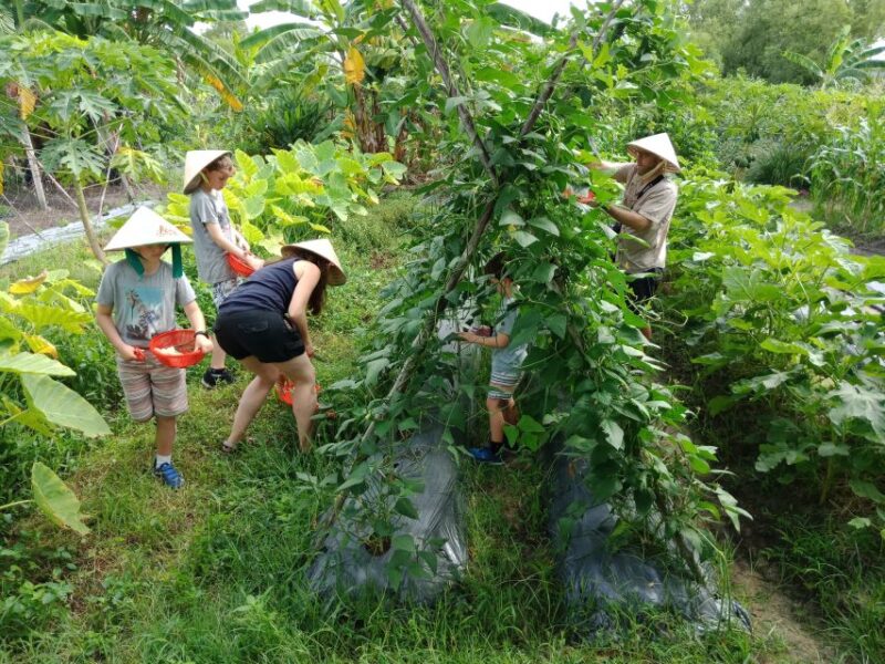 Farm-To-Table Healthy Cooking Class: Half-Day Tour - FAQ