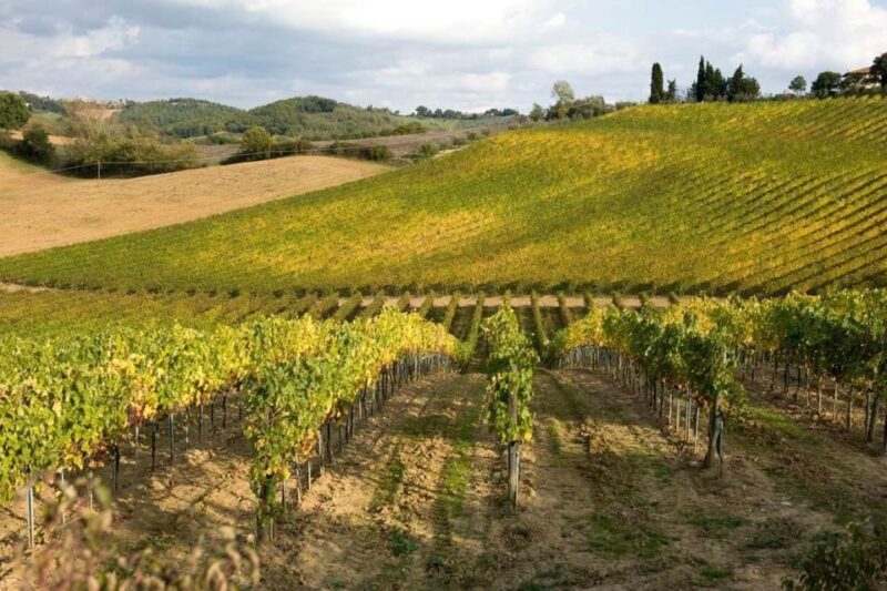 Florence: Siena & San Gimignano Day Trip with Lunch & Wine - Summary