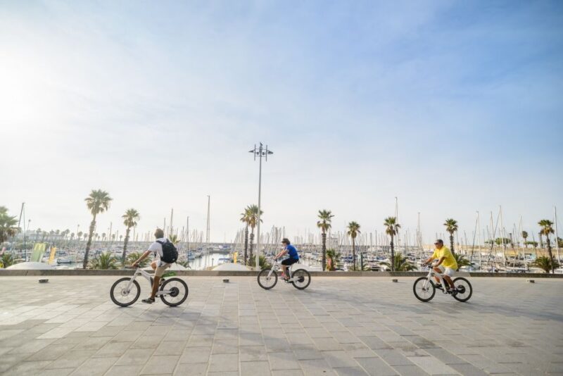 From Barcelona: Private Alella Wine Tour by Electric Bike - Who Should Consider This Tour?