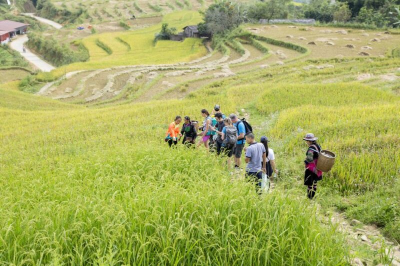 From Hanoi: 2-Day Sa Pa Ethnic Homestay Tour with Trekking - Pricing & Value: Is It Worth It?