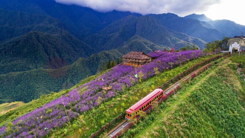 From Hanoi: 2-Days Sapa Trekking Tour Lao Chai and Cat Cat - Who Will Love This Tour?