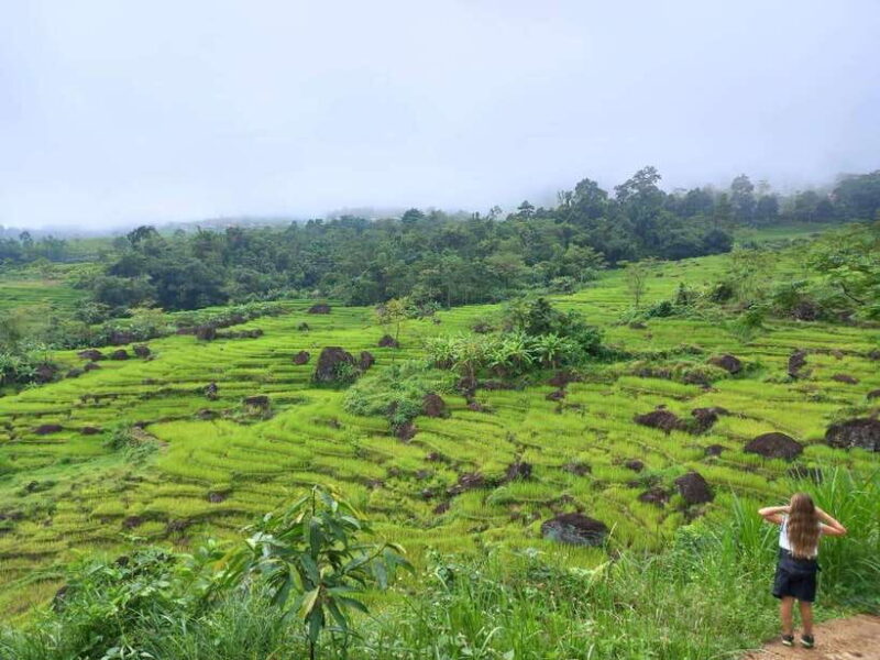 From Hanoi: Full-Day Mai Chau Group or Private Tour - Who Will Love This Tour?