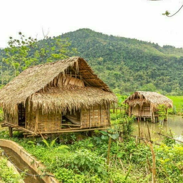 From Hanoi: Pu Luong Nature Reserve Vacation 2D1N - The Balance of Nature and Culture