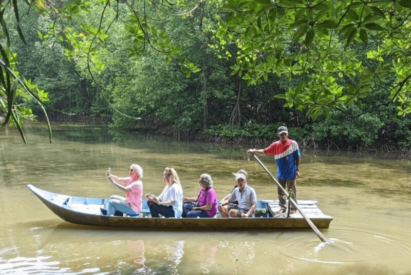 From Ho Chi Minh: Can Gio Mangrove Forest & Monkey Island - Authentic Encounters and Real Experiences