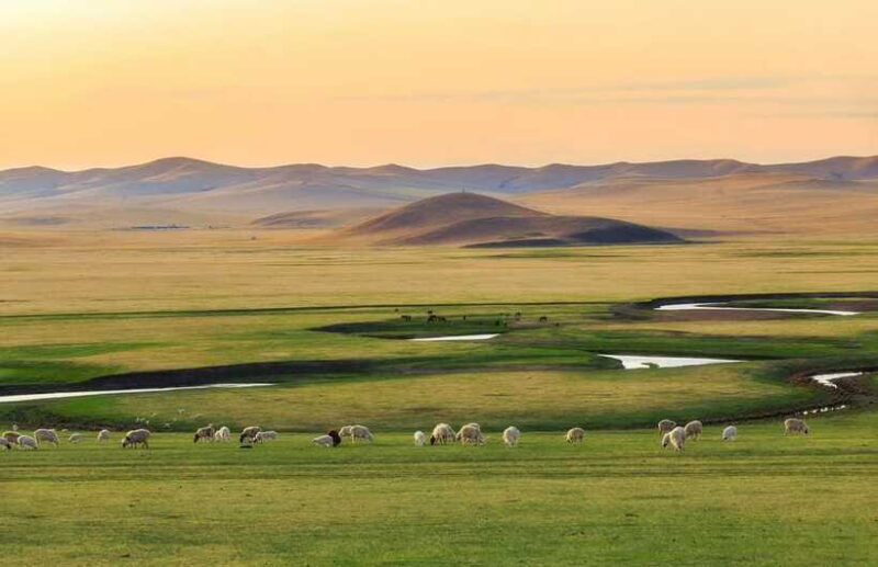 From Hohhot: 8-Day Inner Mongolia Private Tour to Ordos - The Sum Up