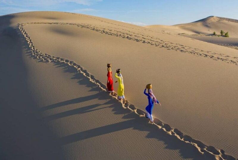 From Nha Trang: Day trip to Nam Cuong Sand Dunes, Phan Rang - Practical Details: Transportation, Timing, and Value