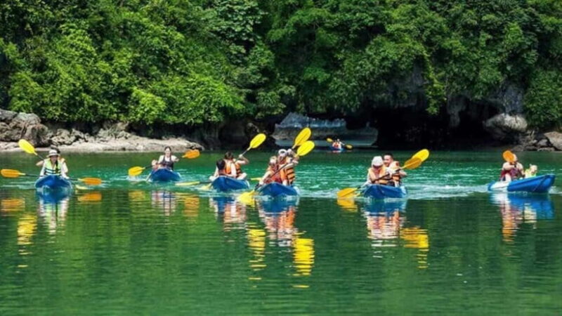From Ninh Binh: Cuc Phuong National Park Day Trip - Who Will Love This Tour?