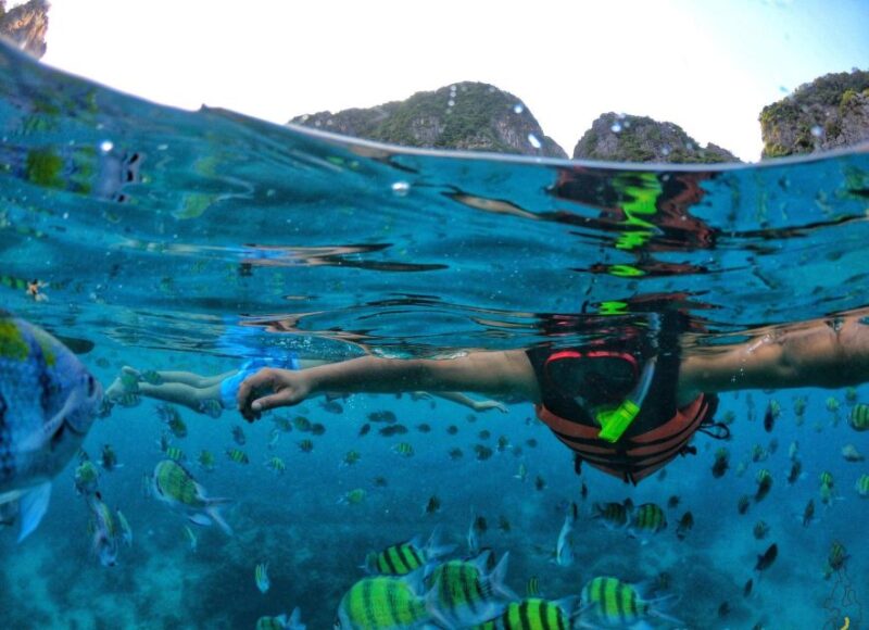 From Phi Phi : Maya Bay Sunset Cruise and Plankton Swimming - FAQs