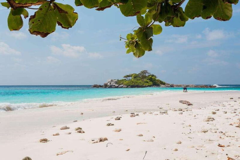 From Phuket: Racha & Maiton Island Dolphin Expedition - FAQs