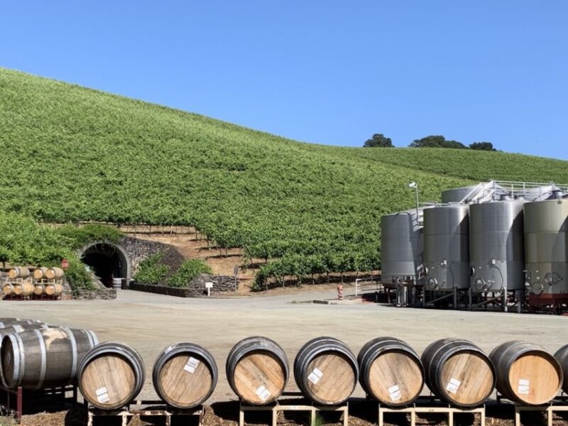 From San Francisco: Private Muir Woods and Napa Wine Tour - The Sum Up