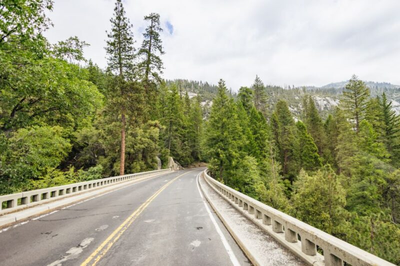 From San Francisco: Yosemite National Park Guided Day Trip - Who Should Consider This Tour?