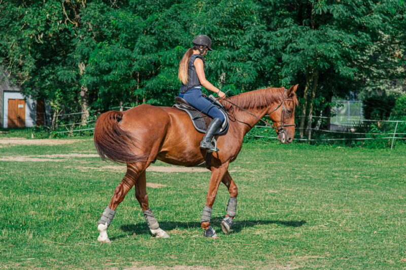 From Seville: Andalusian Horseback Ride - Authenticity and Quality