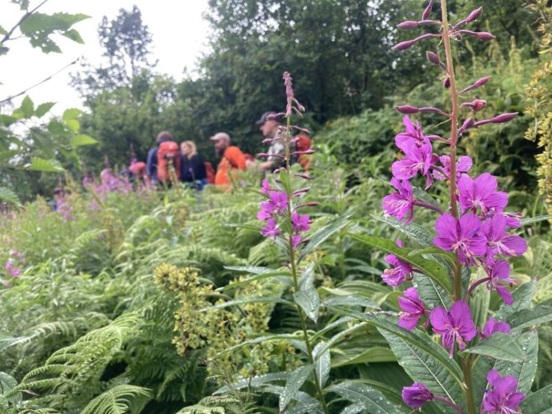 From Seward: 4-hour Wilderness Hiking Tour - FAQ